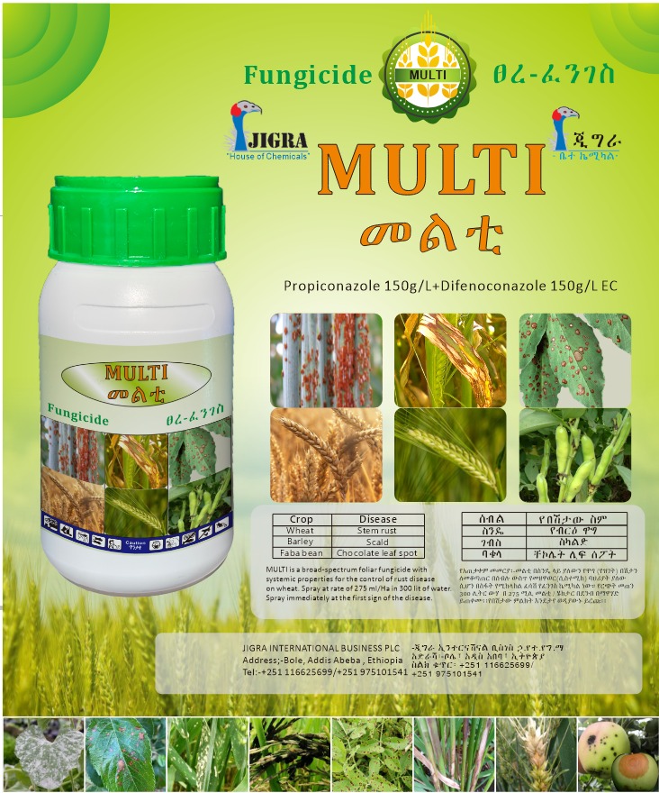 Home | Jigra International Business