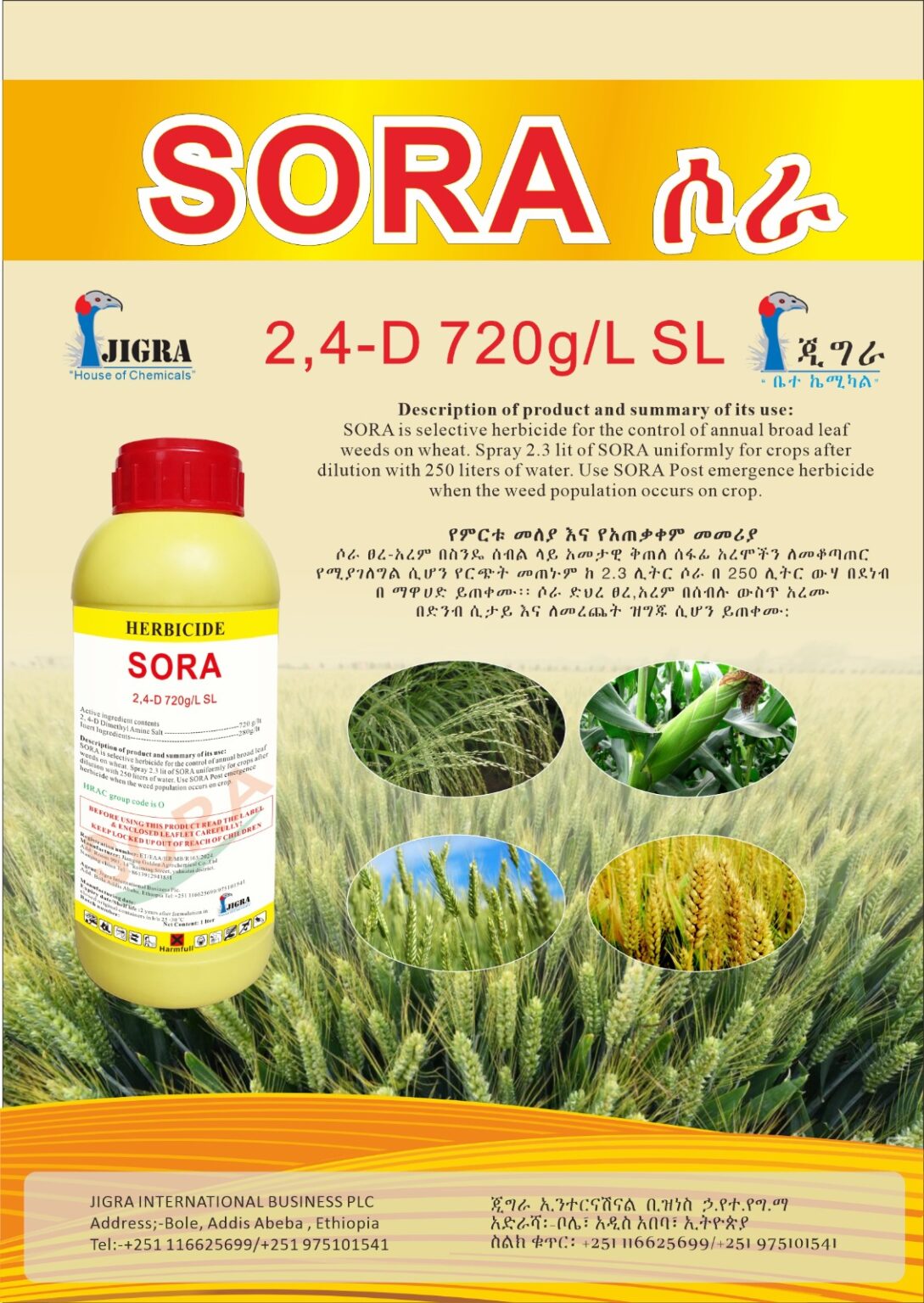 Home | Jigra International Business