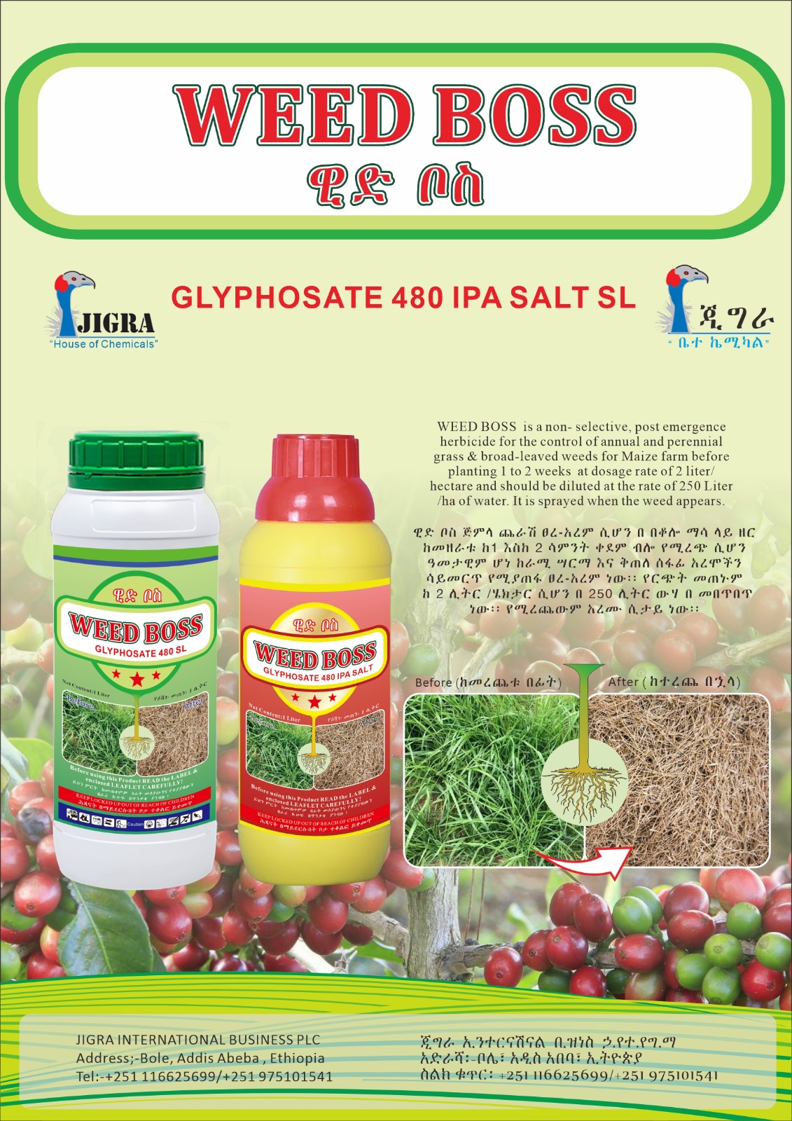 Home | Jigra International Business